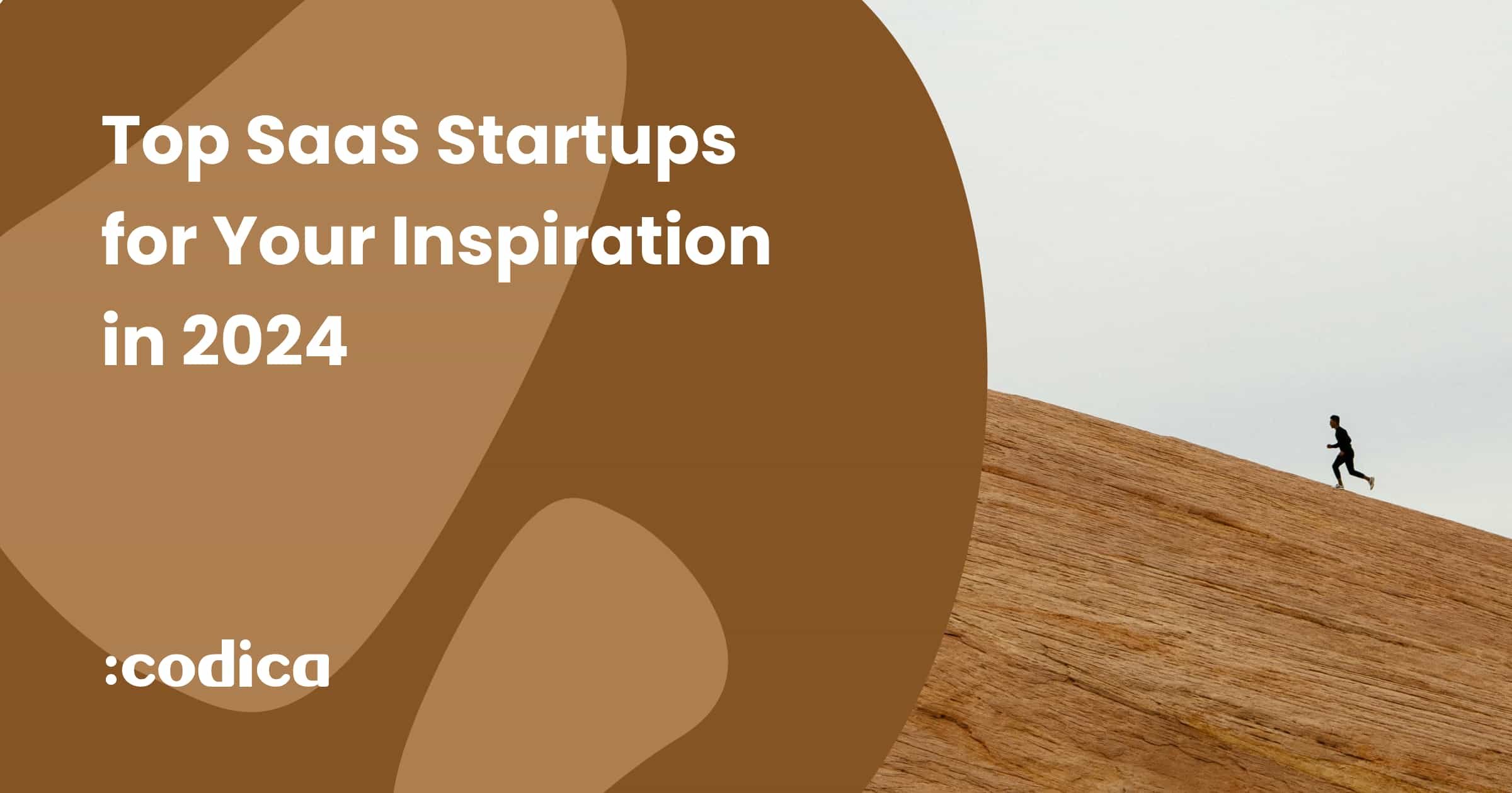 Top SaaS Startups Set to Ignite 2024: Real-World Examples | Codica