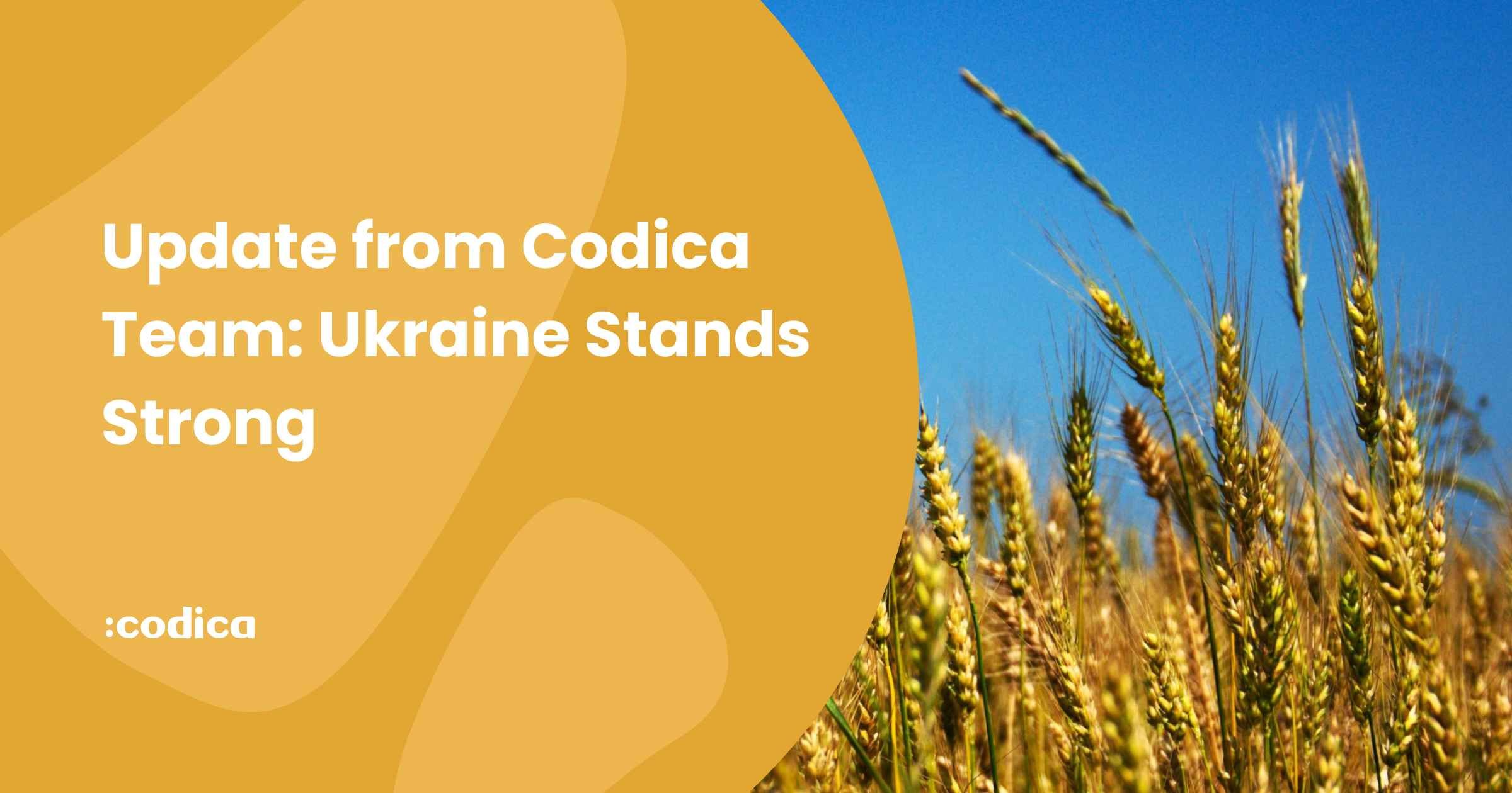 Update from Codica Team: Ukraine Stands Strong | Codica