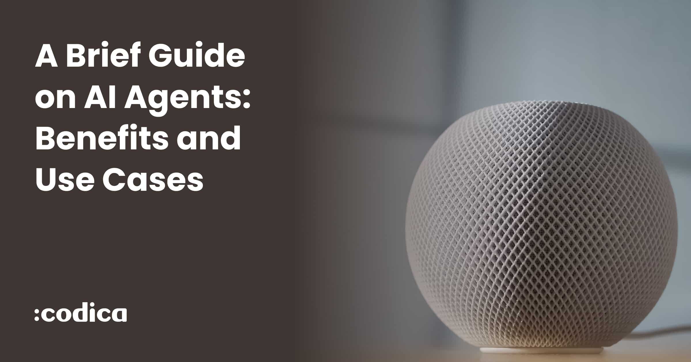 AI Agents in Practice: Types and Use Cases | Codica