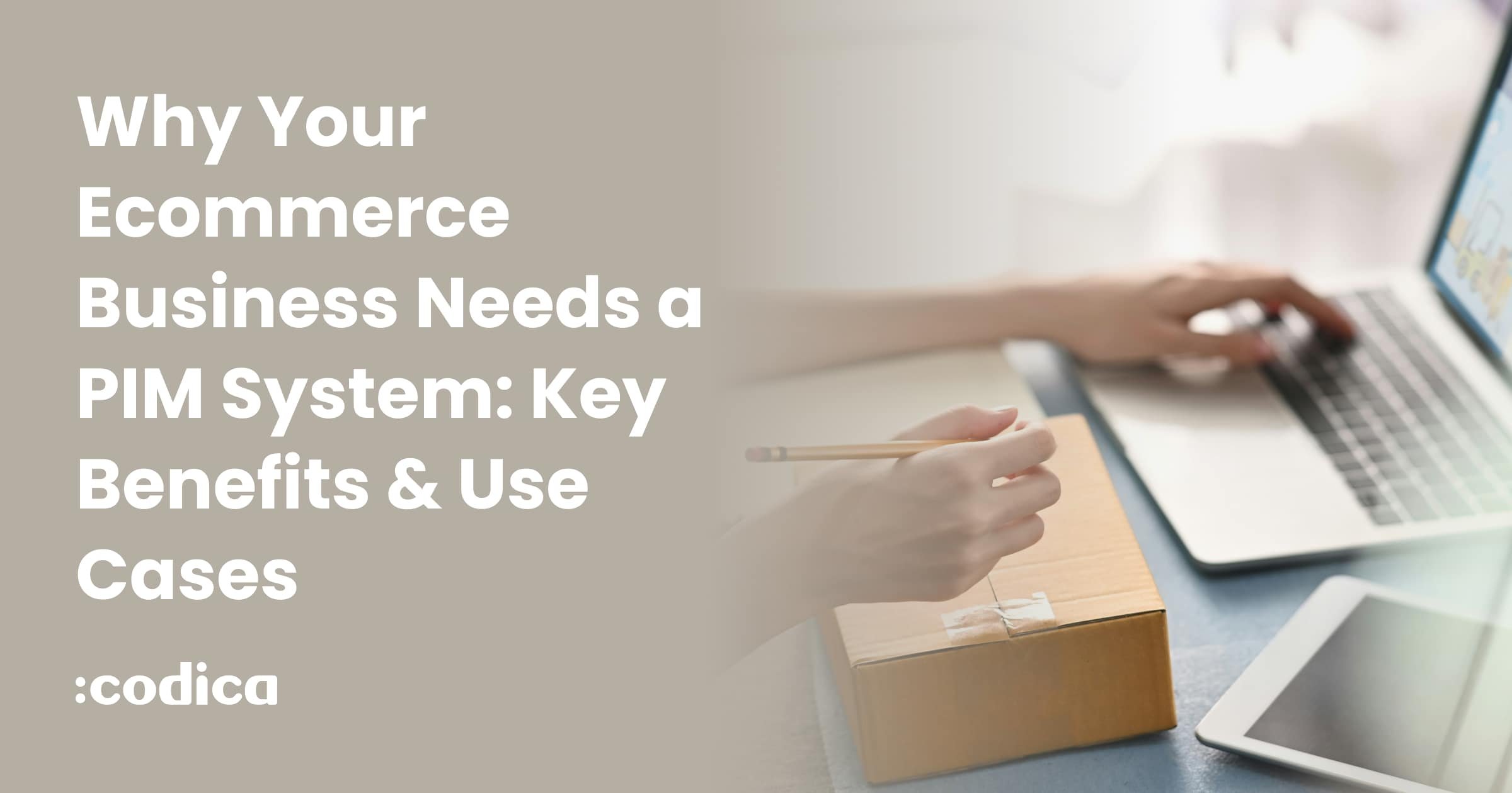 Why Your Ecommerce Business Needs a PIM System | Codica