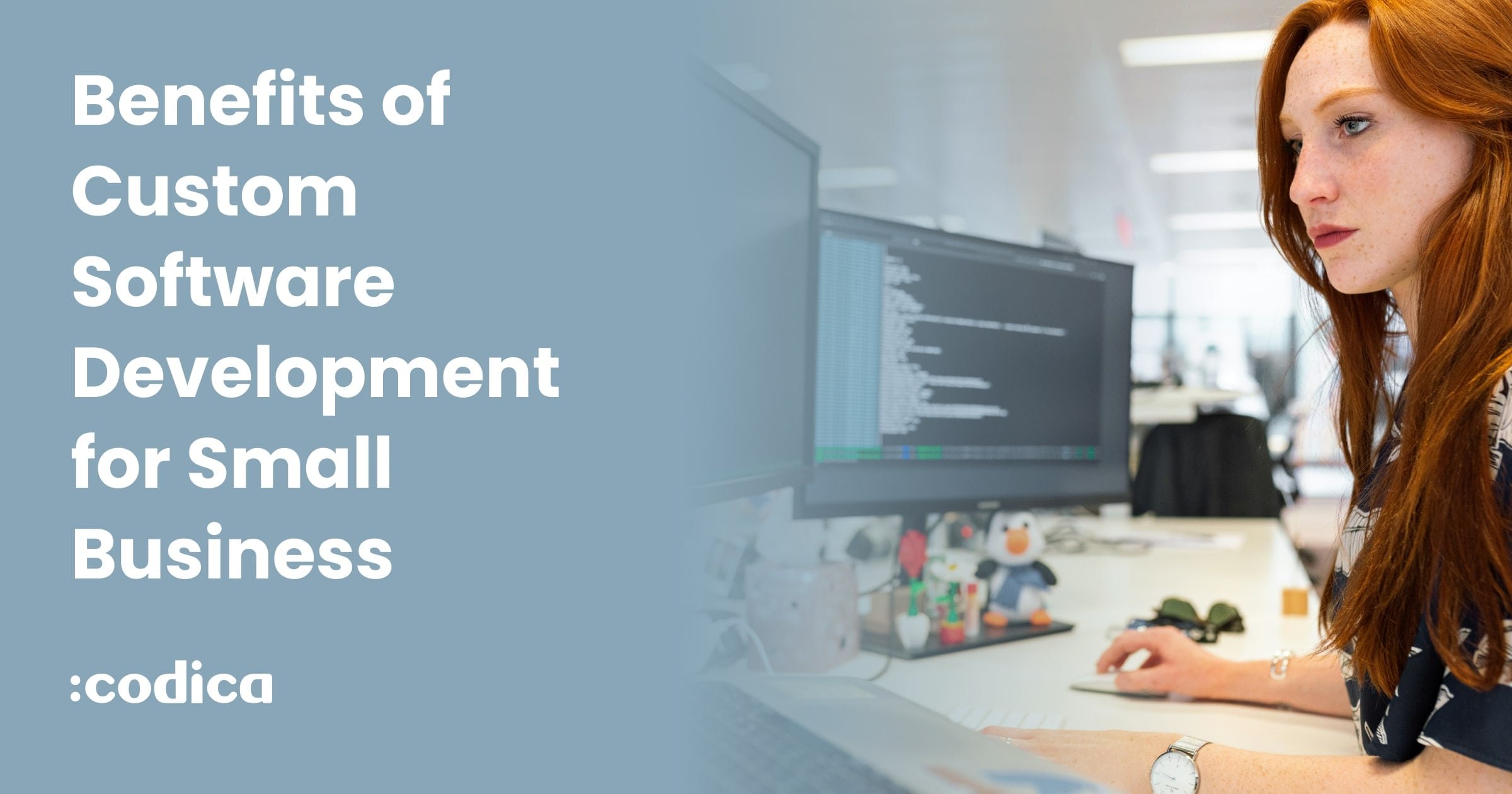 Benefits of Custom Software for a Small Business | Codica