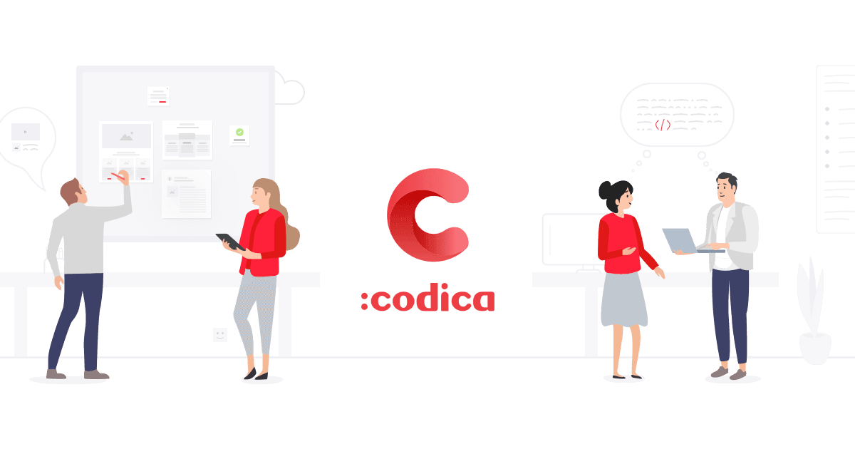 Privacy policy | Codica