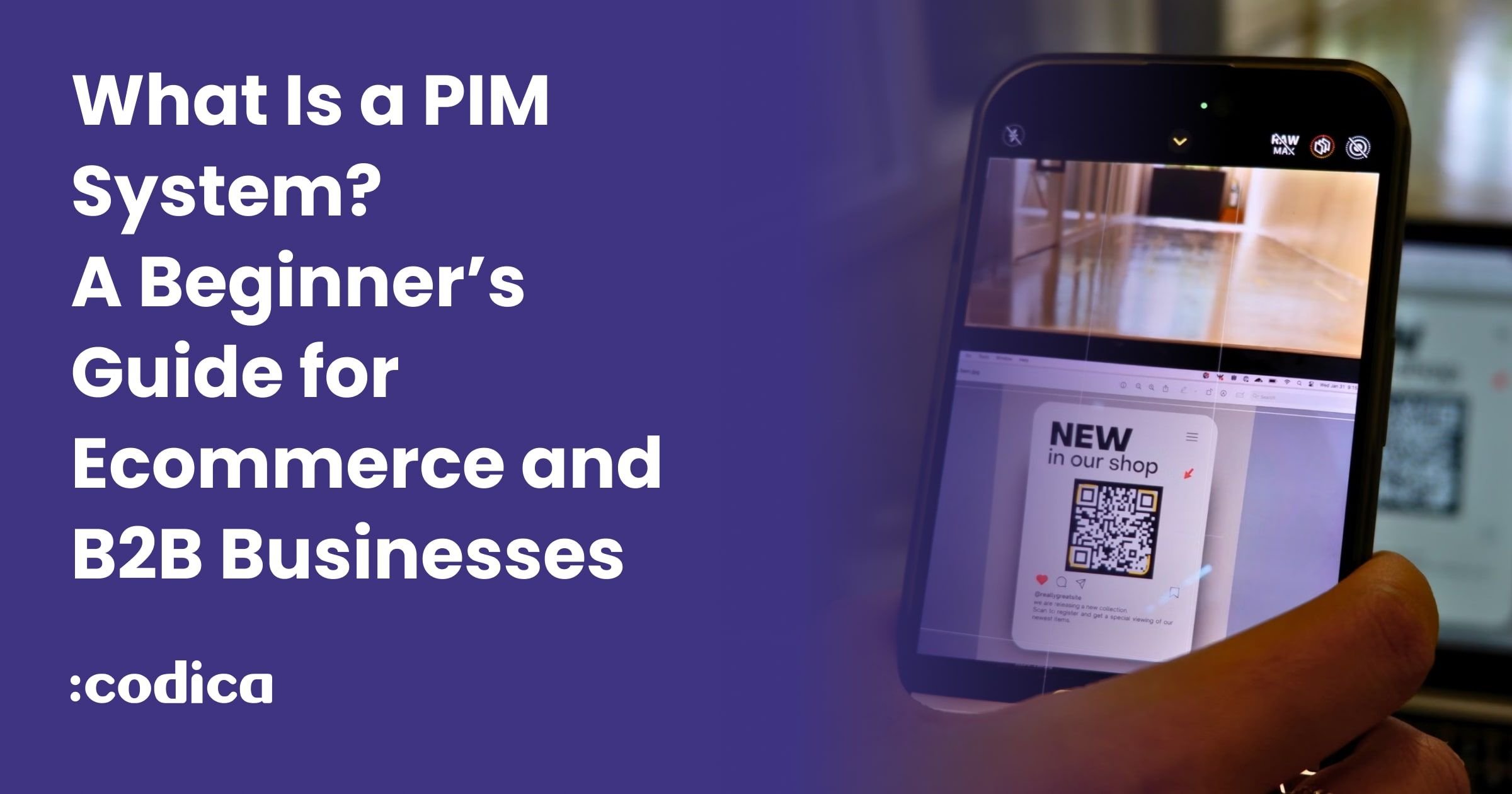 What Is a PIM System: Key Features for Ecommerce & B2B | Codica
